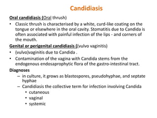 Opportunistic mycoses cadidiasis | PPTX