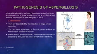Opportunistic mycoses ASPERGILLOSiS .pptx