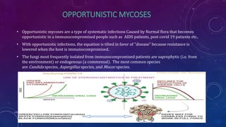 Opportunistic mycoses ASPERGILLOSiS .pptx
