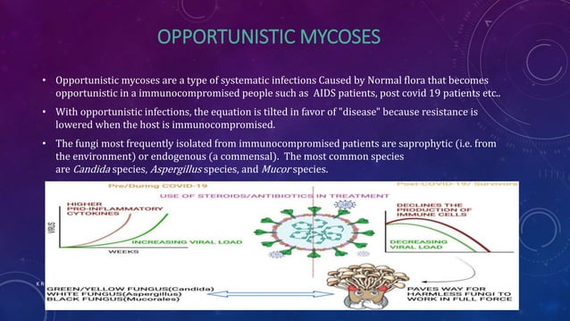 Opportunistic mycoses ASPERGILLOSiS .pptx