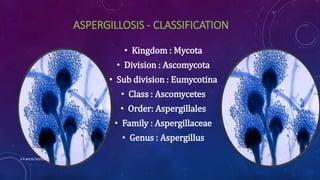 Opportunistic mycoses ASPERGILLOSiS .pptx