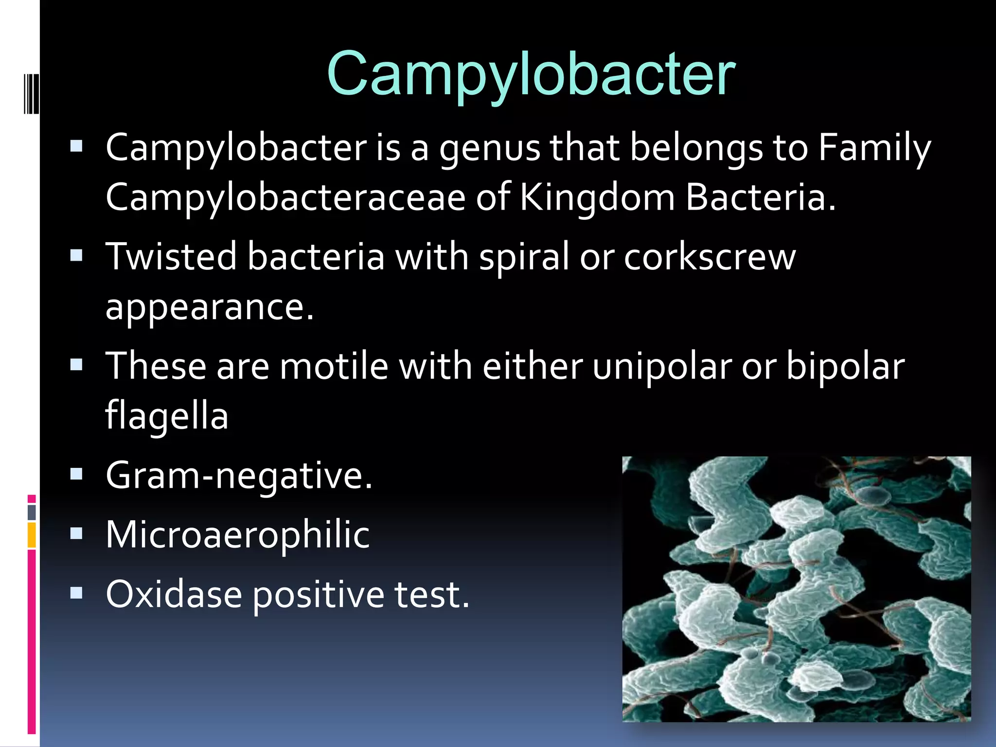 Opportunistic pathogens | PPTX