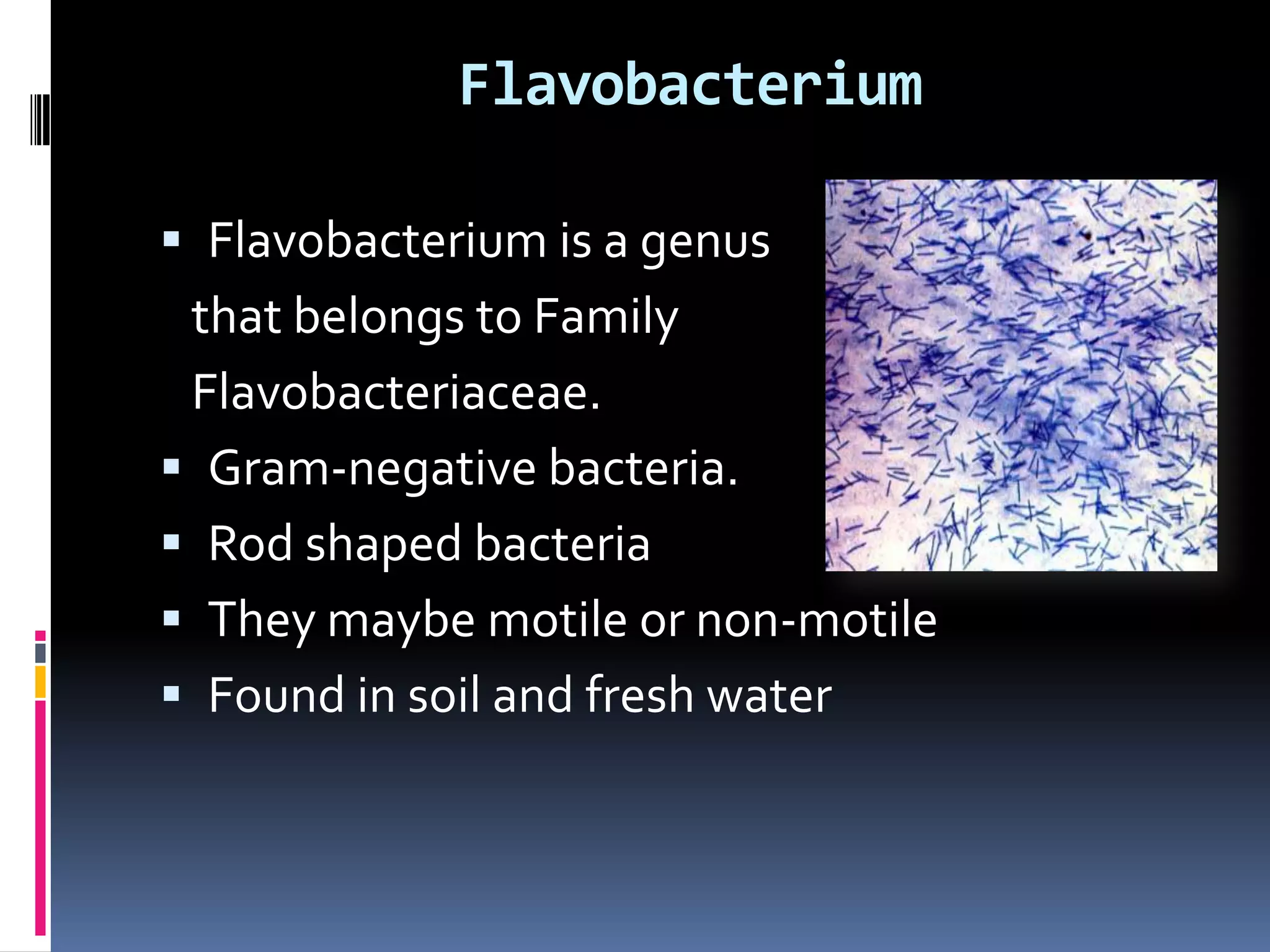 Opportunistic pathogens | PPTX