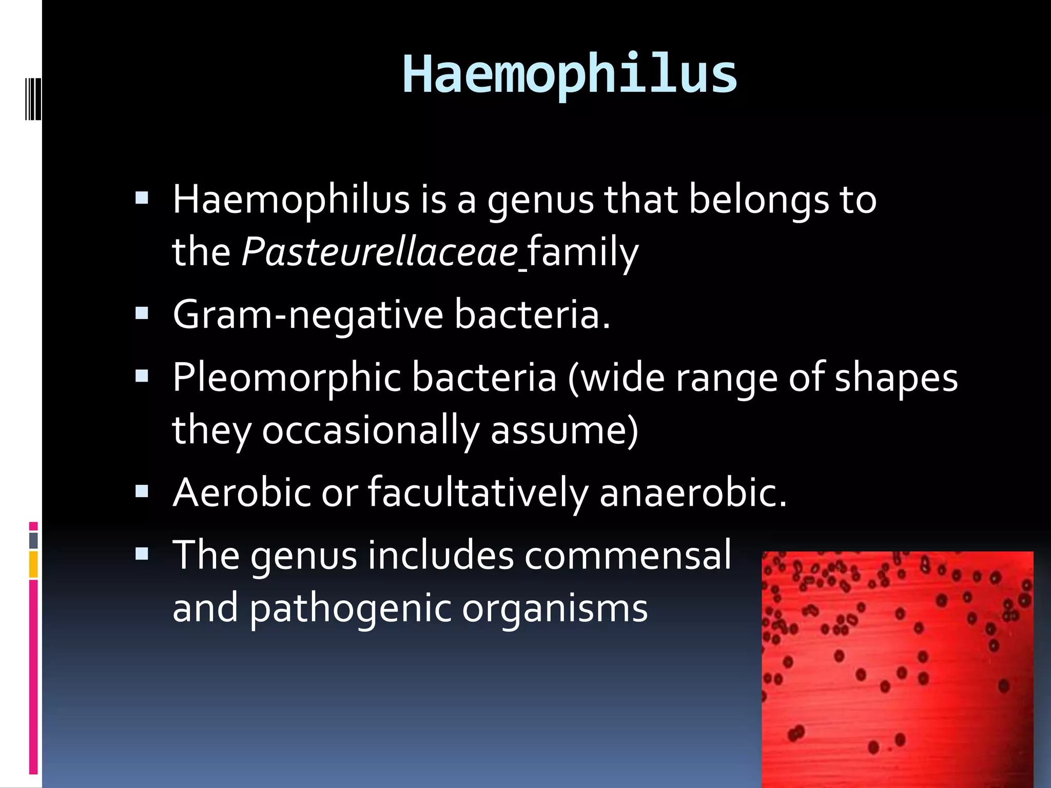 Opportunistic pathogens | PPTX