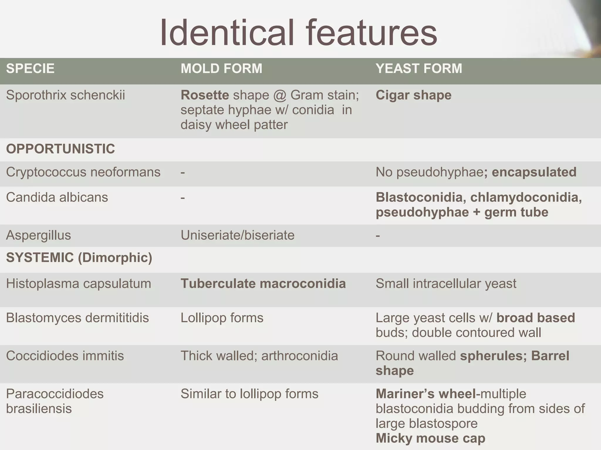 Opportunistic & systemic mycoses tabulated summary | PPT