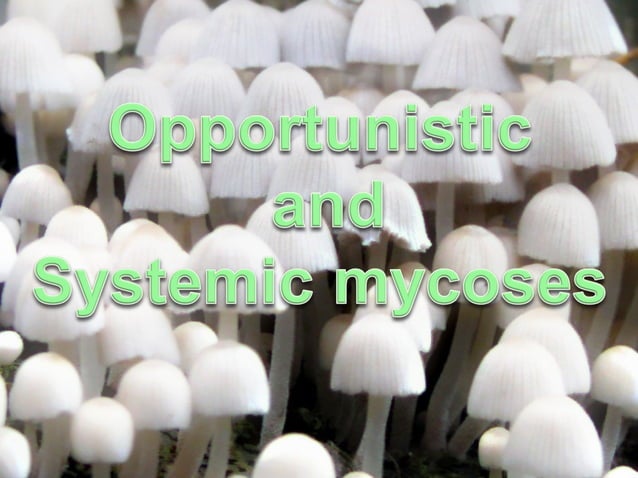 Opportunistic & systemic mycoses tabulated summary | PPT