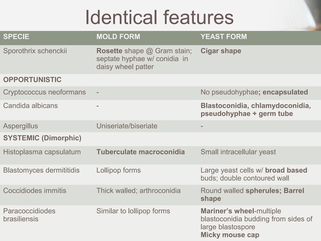 Opportunistic & systemic mycoses tabulated summary | PPT