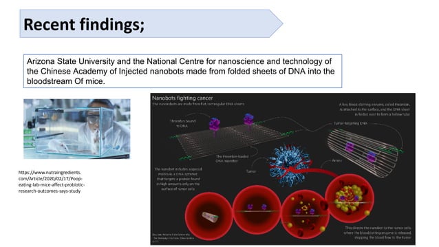Opportunities and promise of nanobiotechnology | PPT