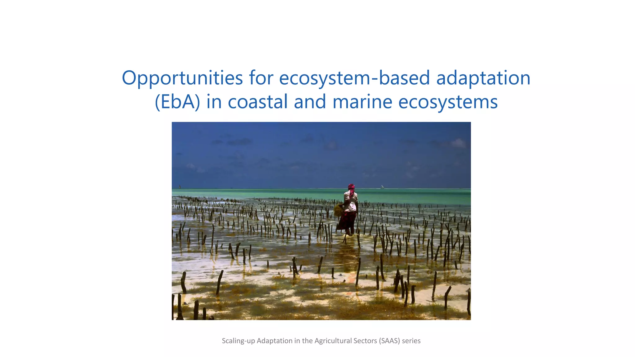 Opportunities for ecosystem-based adaptation in coastal and marine ecosystems | PDF