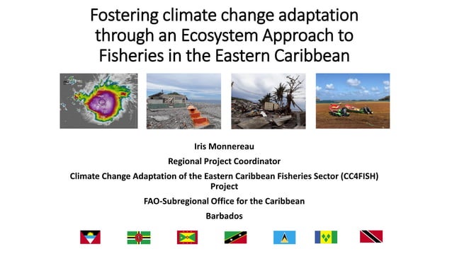 Opportunities for ecosystem-based adaptation in coastal and marine ...