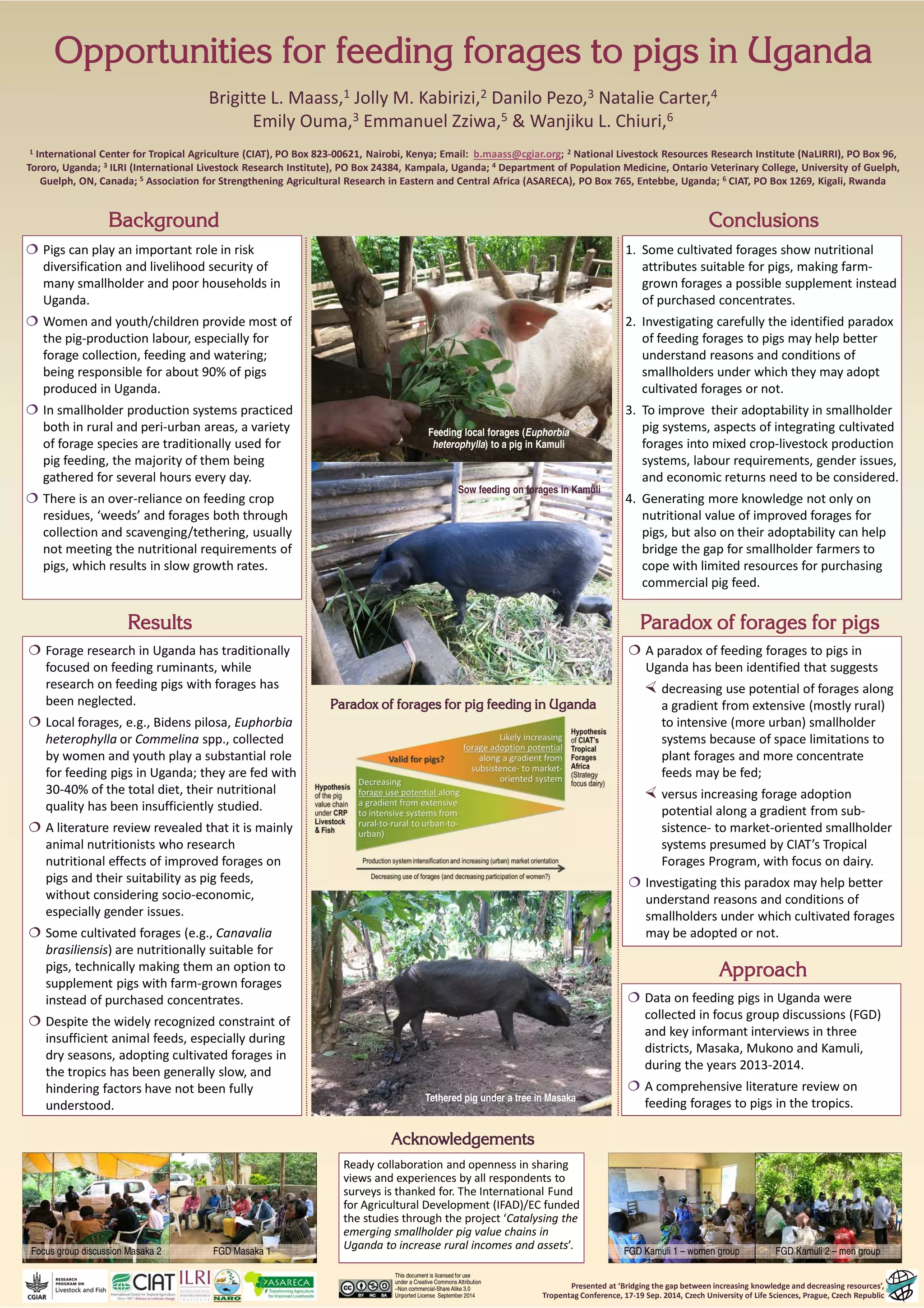 Opportunities for feeding forages to pigs in Uganda | PDF