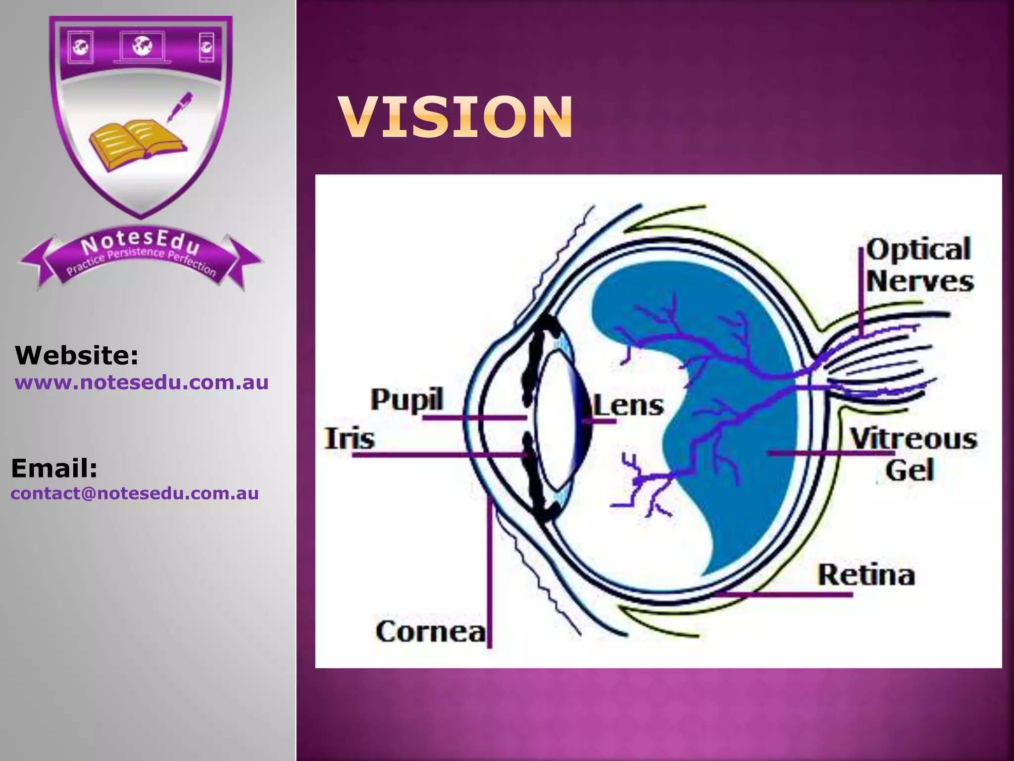 Opportunity Class Test OC- Reading Comprehension Examples | PPTX