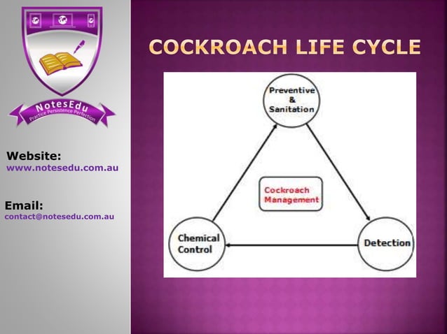 Opportunity Class Test OC- Reading Comprehension Examples | PPTX