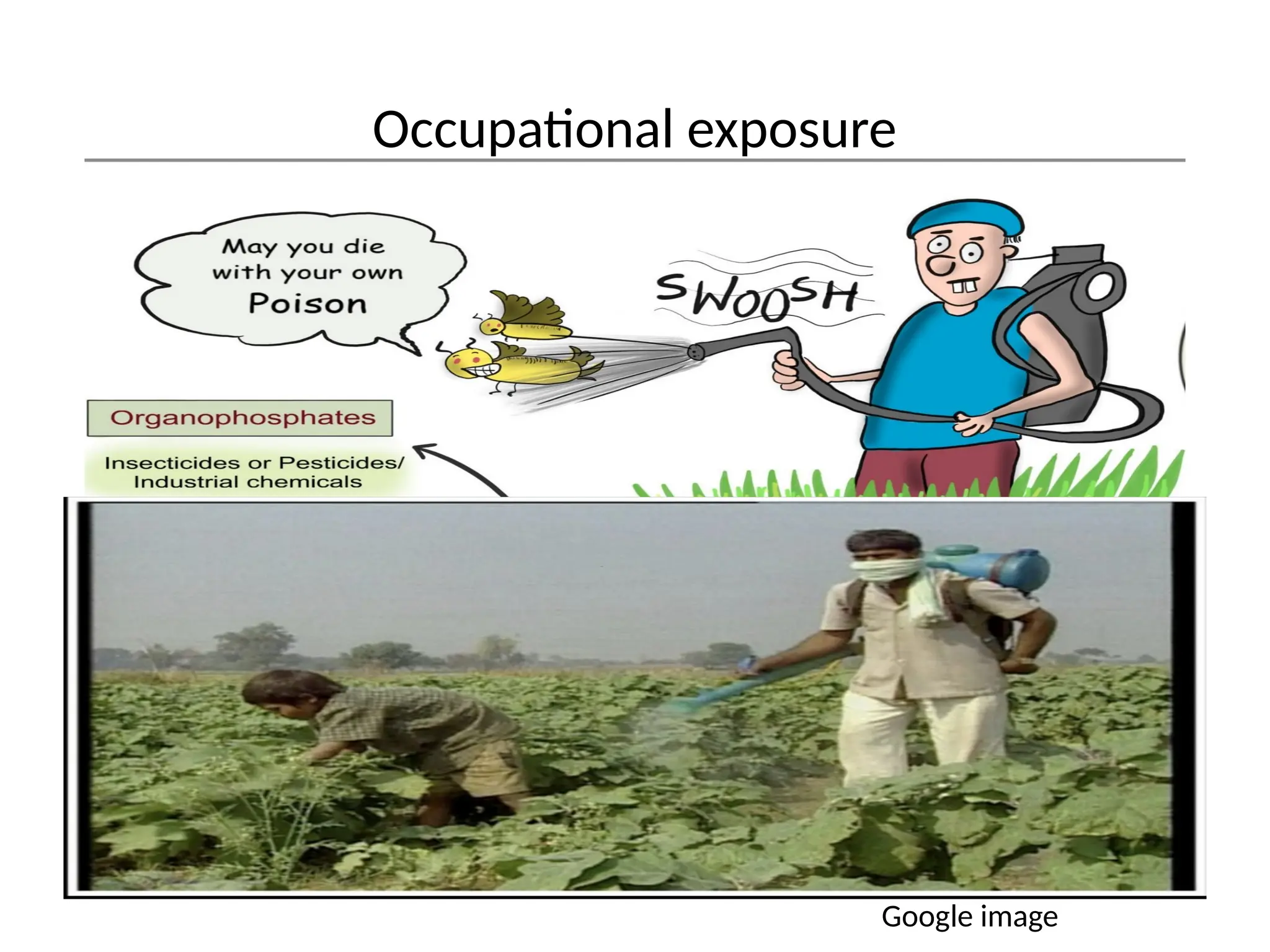 OP Poisoning presentation | PPTX