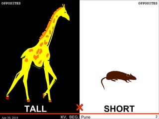 Opposites | PPT