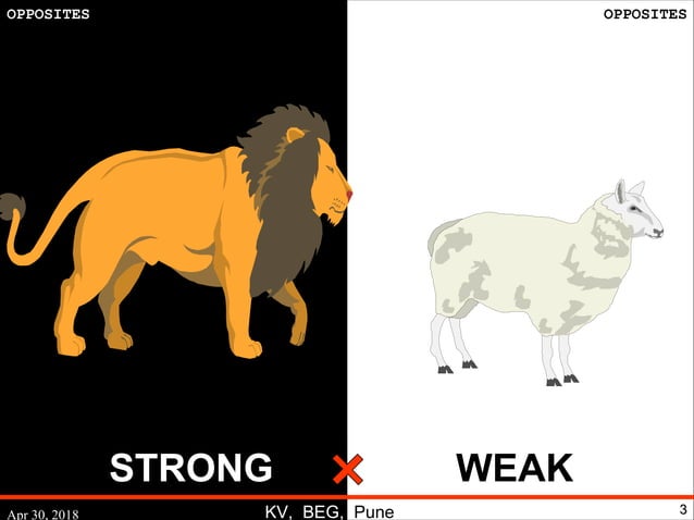 Opposites | PPT