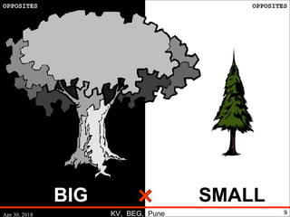 Opposites | PPT
