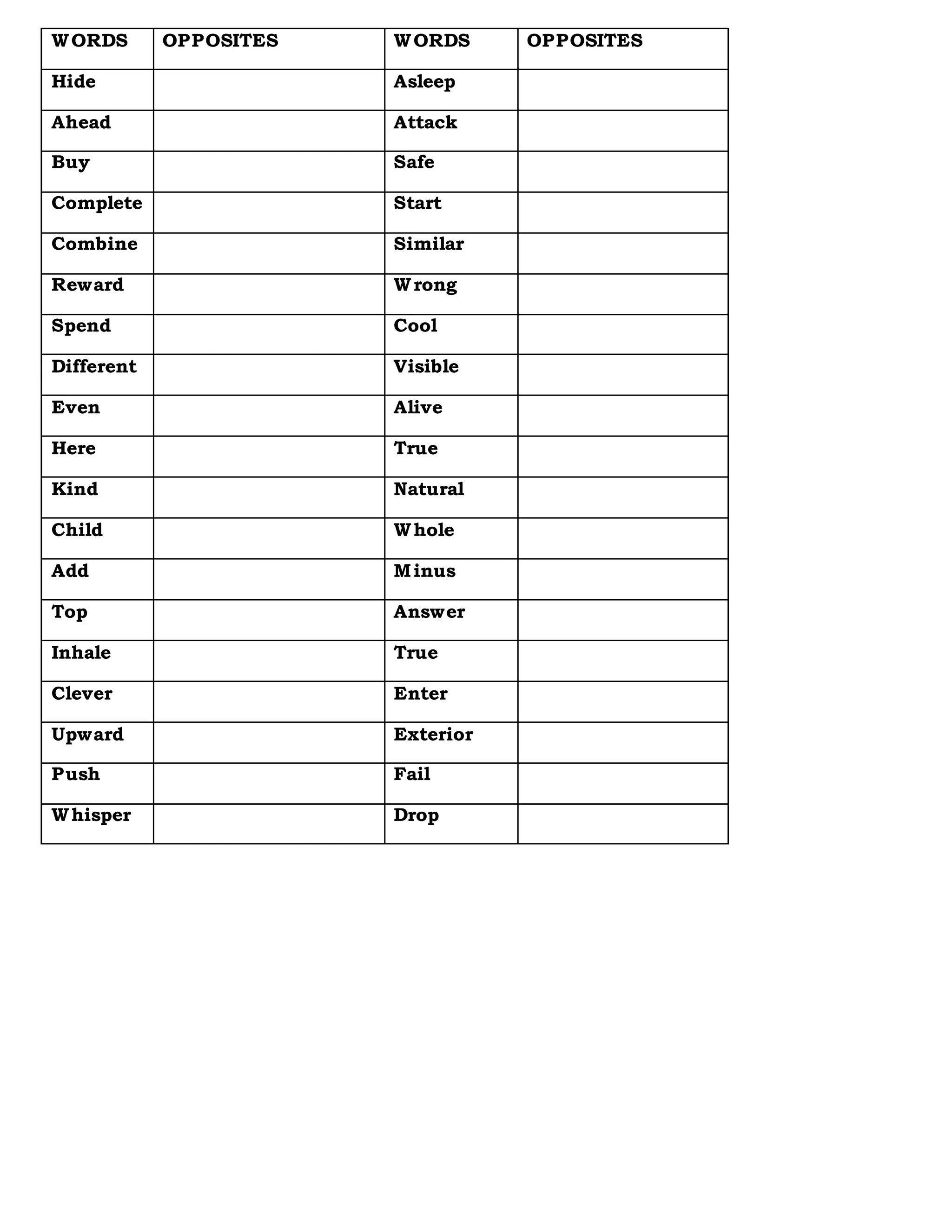 WORD OPPOSITE | DOCX