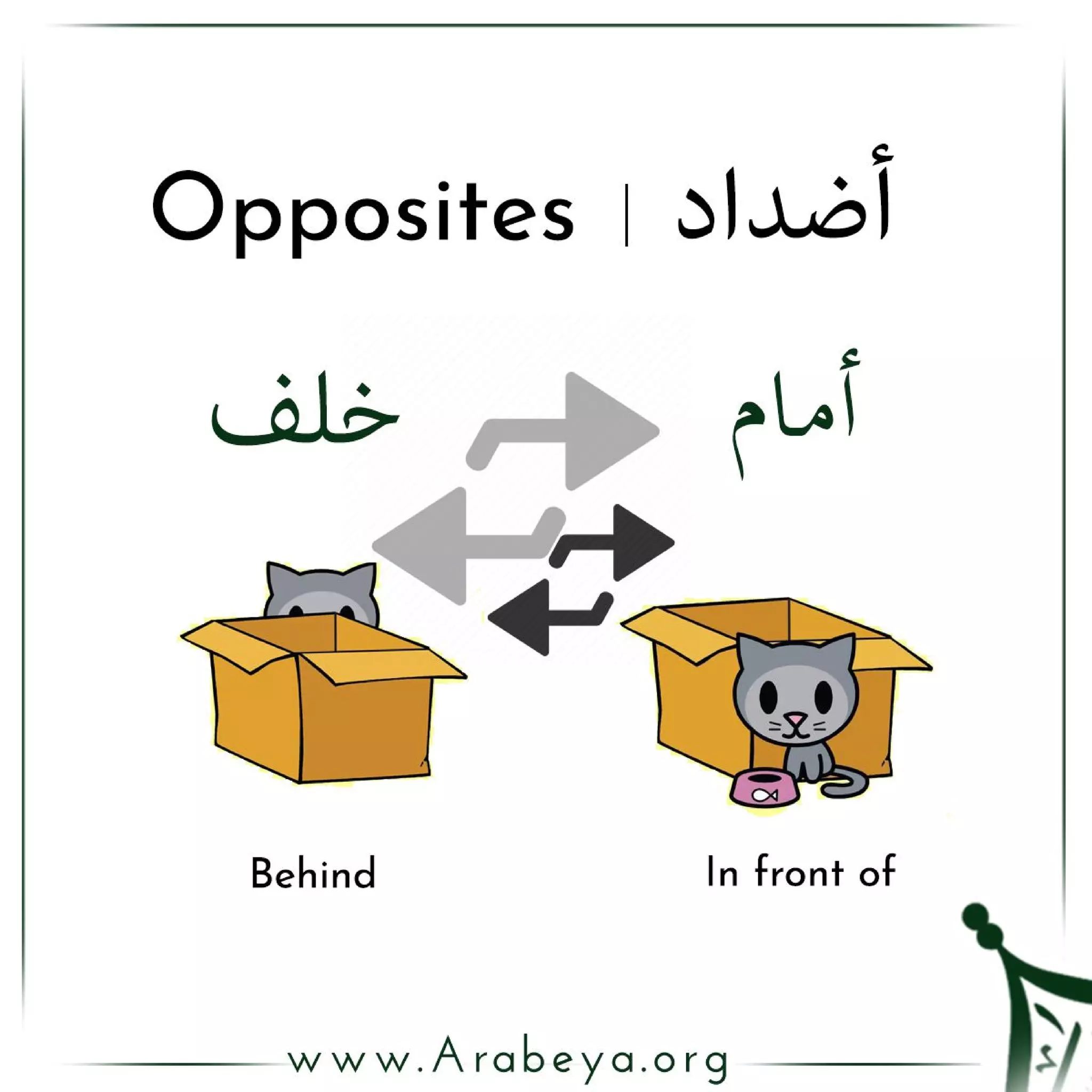 Opposites in the Arabic Language | PDF