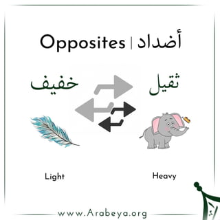 Opposites in the Arabic Language | PDF