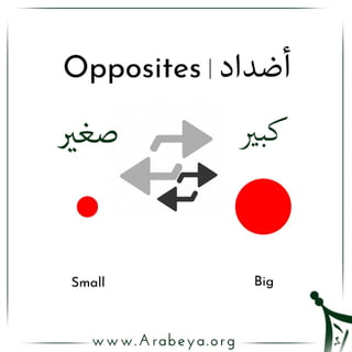 Opposites in the Arabic Language | PDF