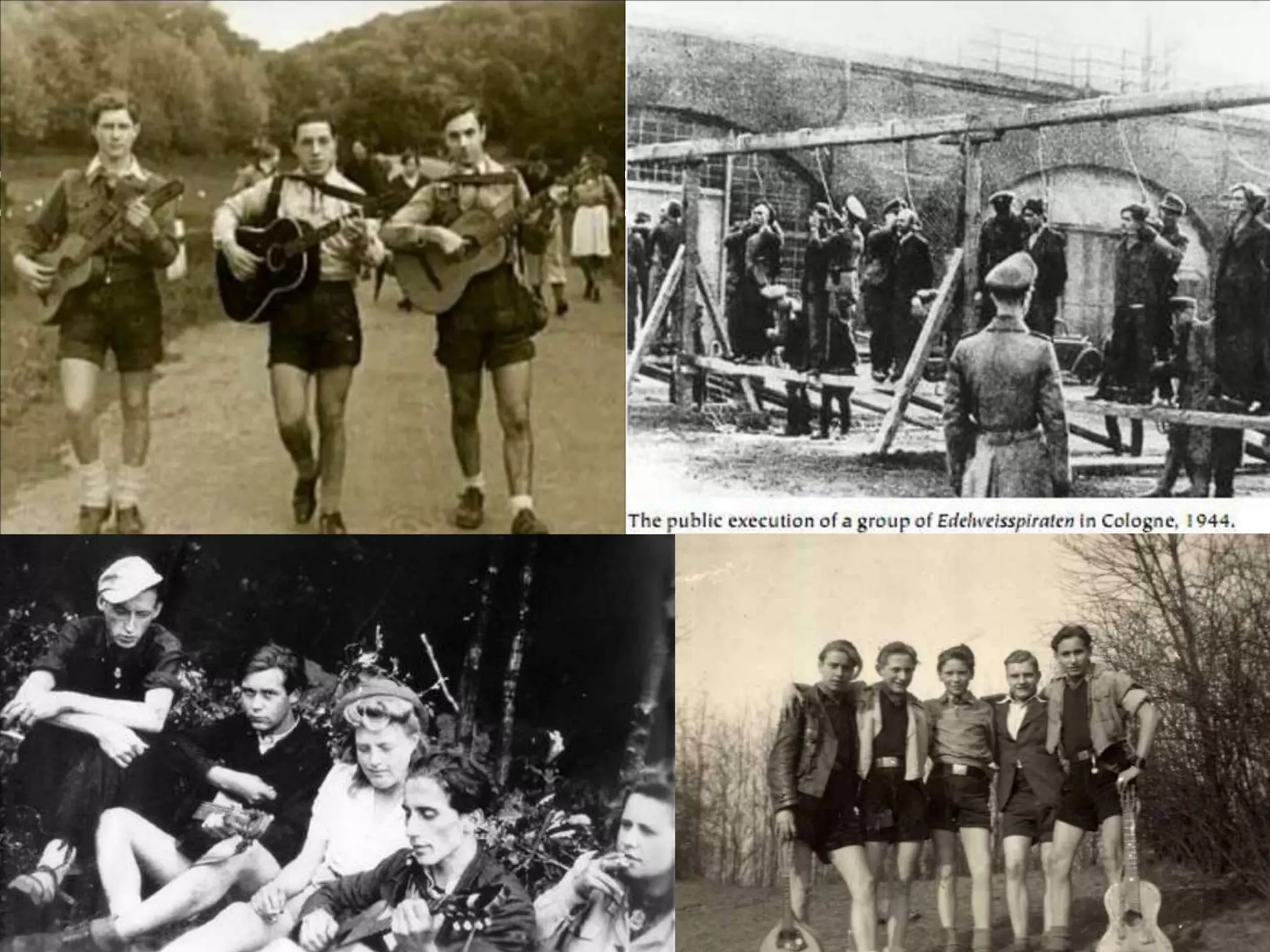 Opposition to the nazi party | PPT