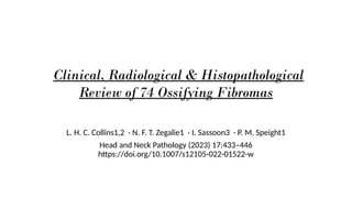 CLINICAL, RADIOGRAGRAHIC & HISTOPATHOLOGY FEATURESOSSIFYING FIBROMA | PPTX