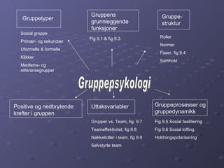 Oppsummering Organisasjonspsykologi | PPT