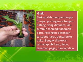 presentasi biolog reproduksi vegetatif kelompok | PPT