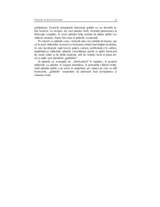 Opris, tudor - planeta insectelor | DOC