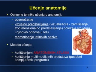 Opsta anatomija uvod | PPT