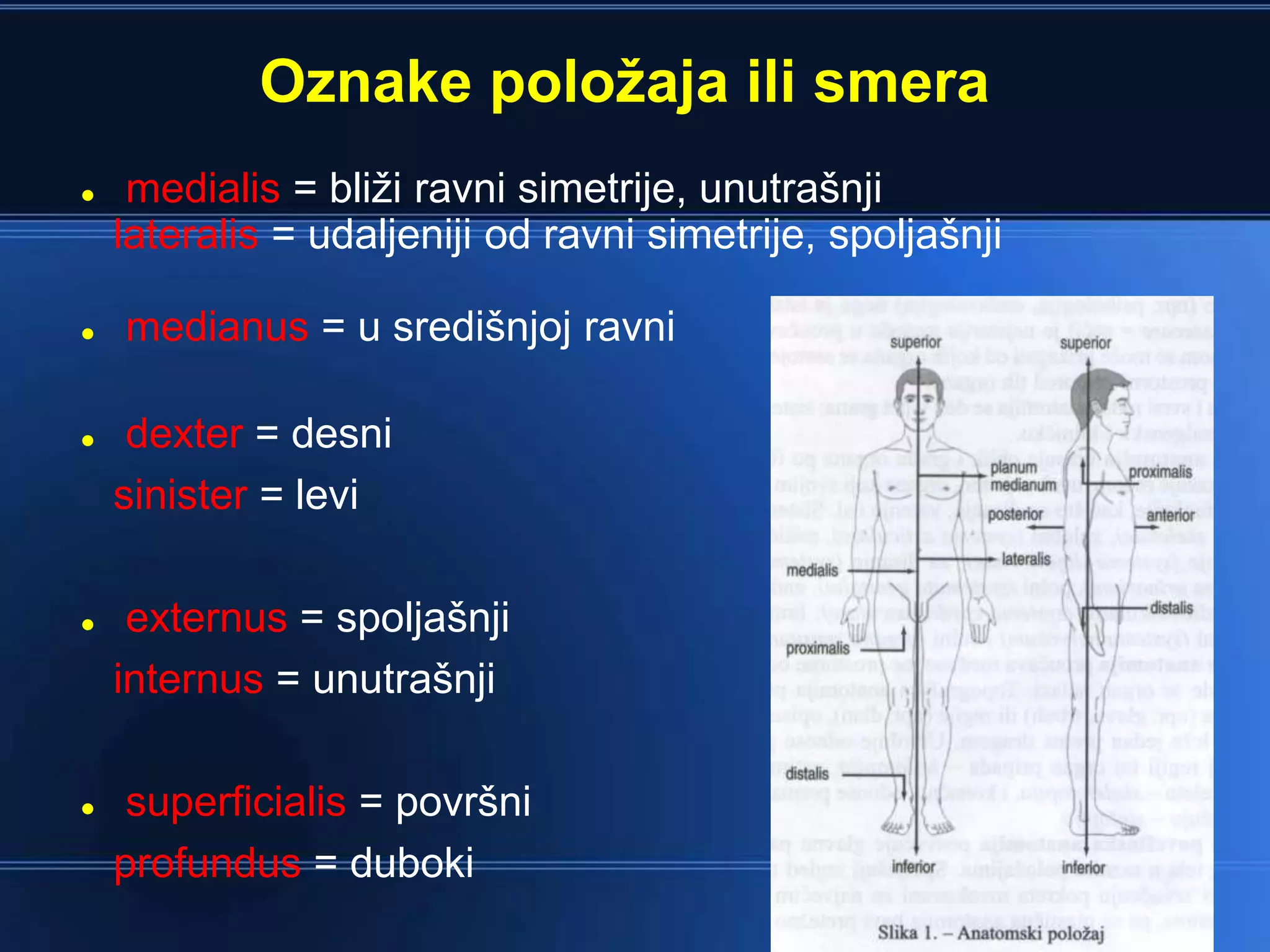 Opsta anatomija uvod | PPT