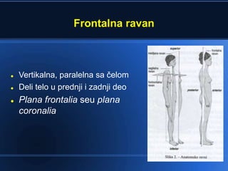 Opsta anatomija uvod | PPT