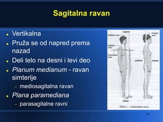 Opsta anatomija uvod | PPT