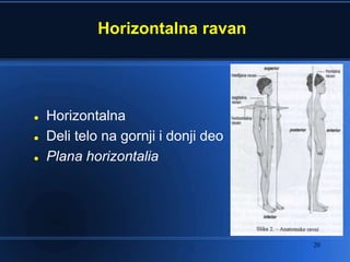 Opsta anatomija uvod | PPT