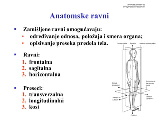 Opsta anatomija uvod | PDF