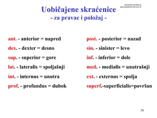 Opsta anatomija uvod | PPT