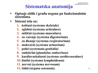 Opsta anatomija uvod | PPT