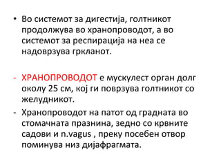 Opst plan na gradba na digestiven sistem | PPT