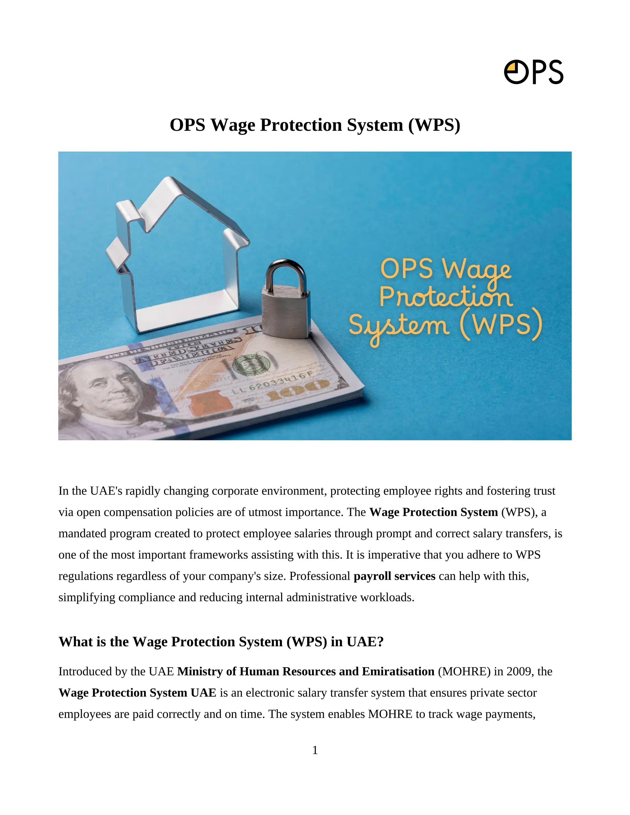 OPS Wage Protection System – Trusted Payroll Compliance in UAE | PDF