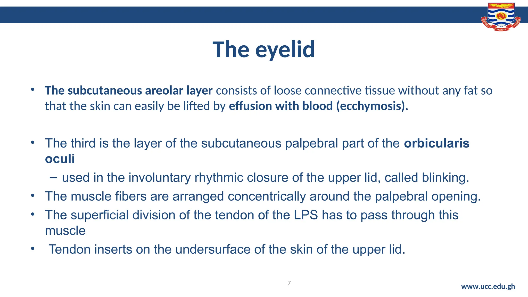 OPT 232 The Anatomy of Eyelid.ppt study | PPT