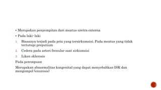 Optek meatotomi | PPTX