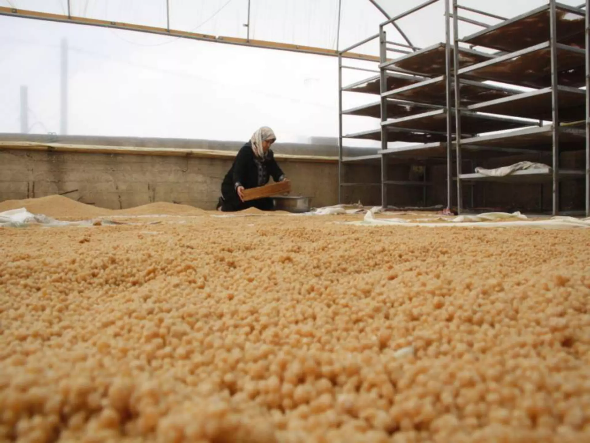 Opt enterprise dev opt presentation mi 2014 | PPT