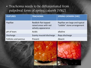 Trachoma | PPT