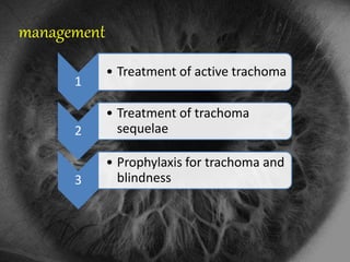Trachoma | PPTX