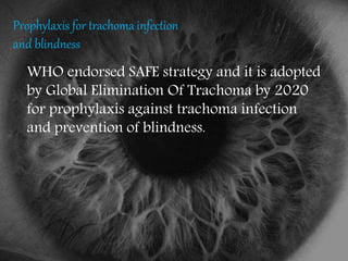 Trachoma | PPTX
