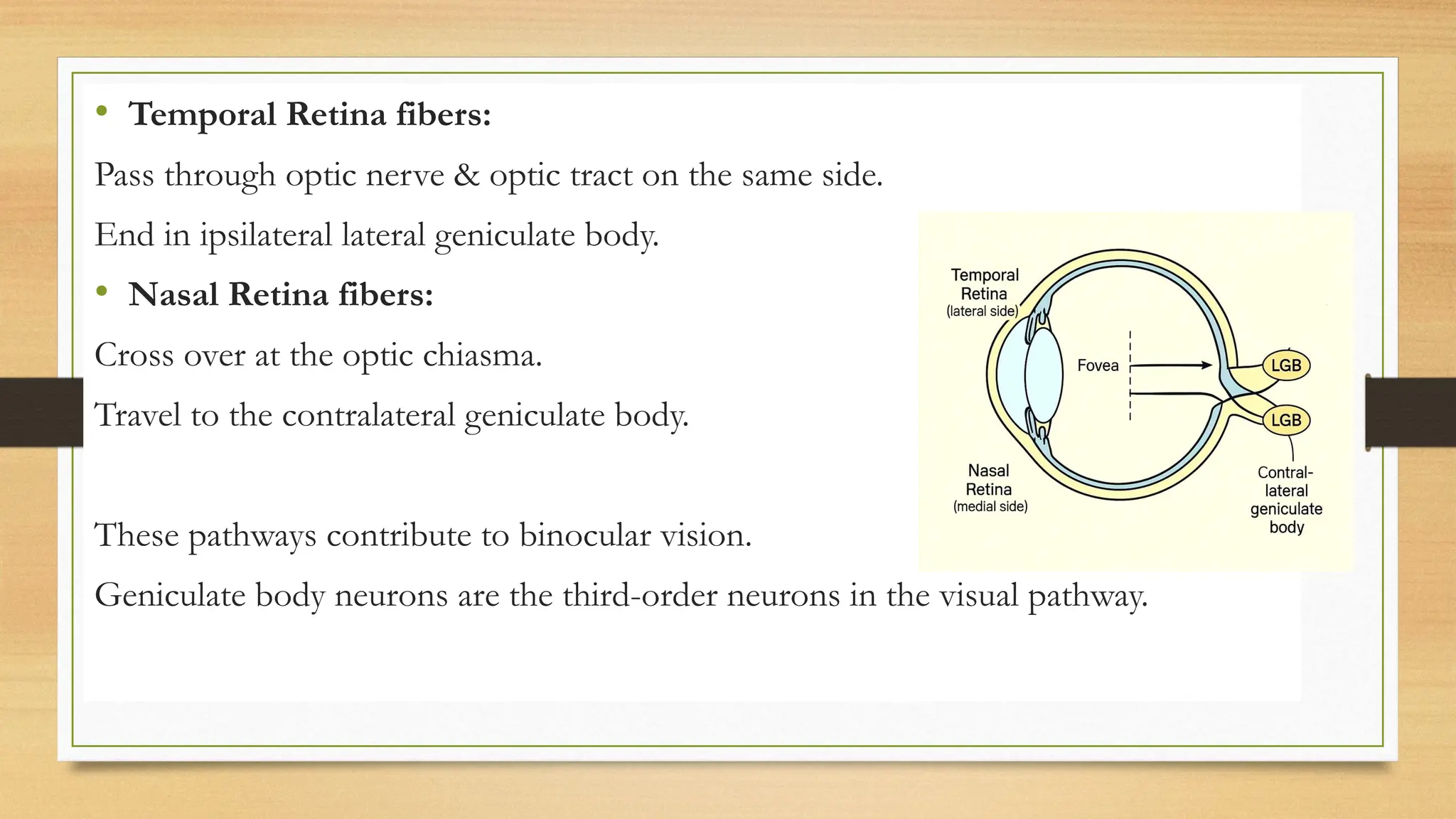 optha 40+43.pptxnejdjshshsdjdjjdjdjddjjddj | PPT