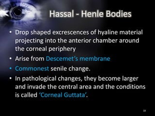 Corneal Degeneration's, Ophthalmology | PPTX