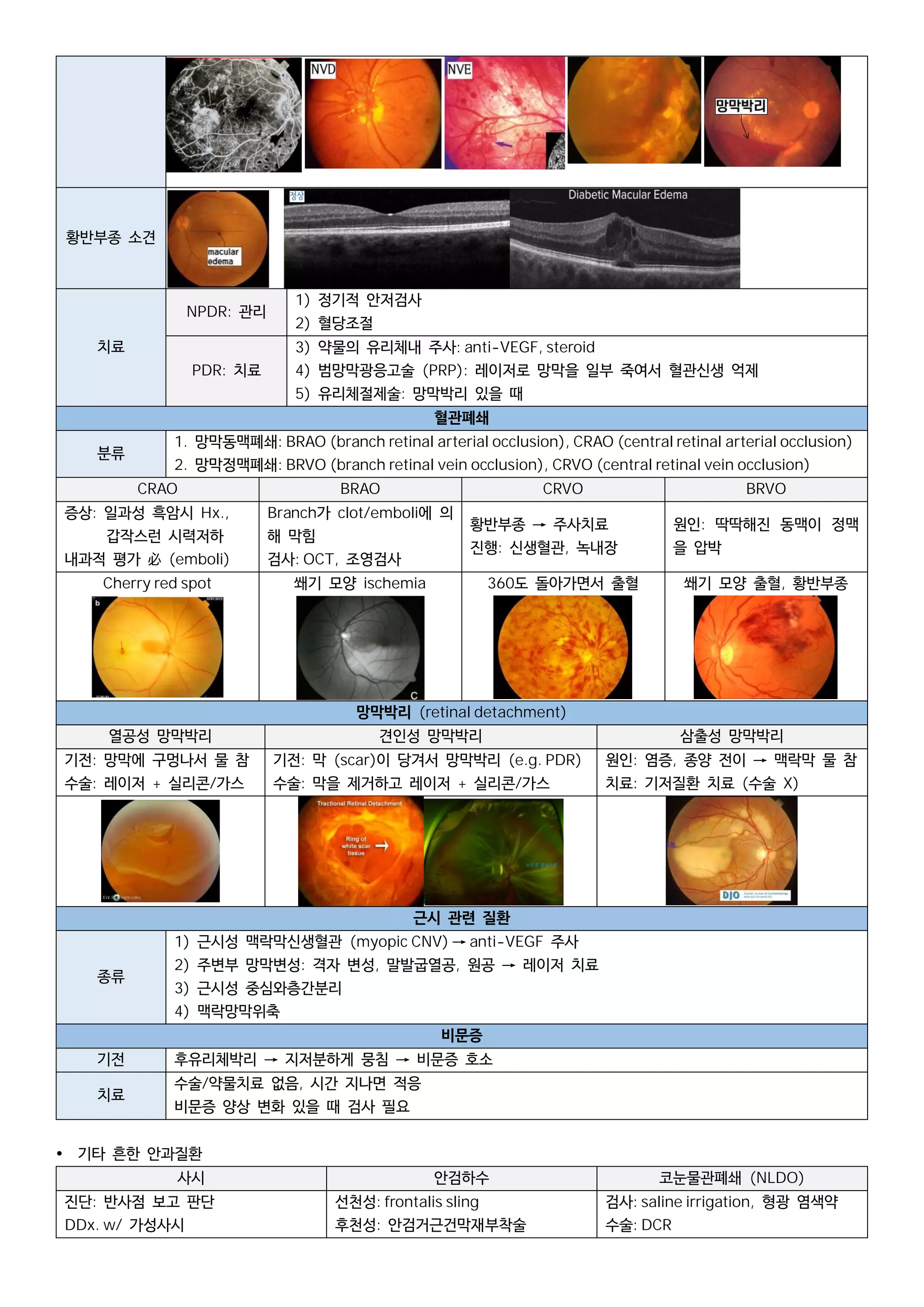 Opthal | PDF