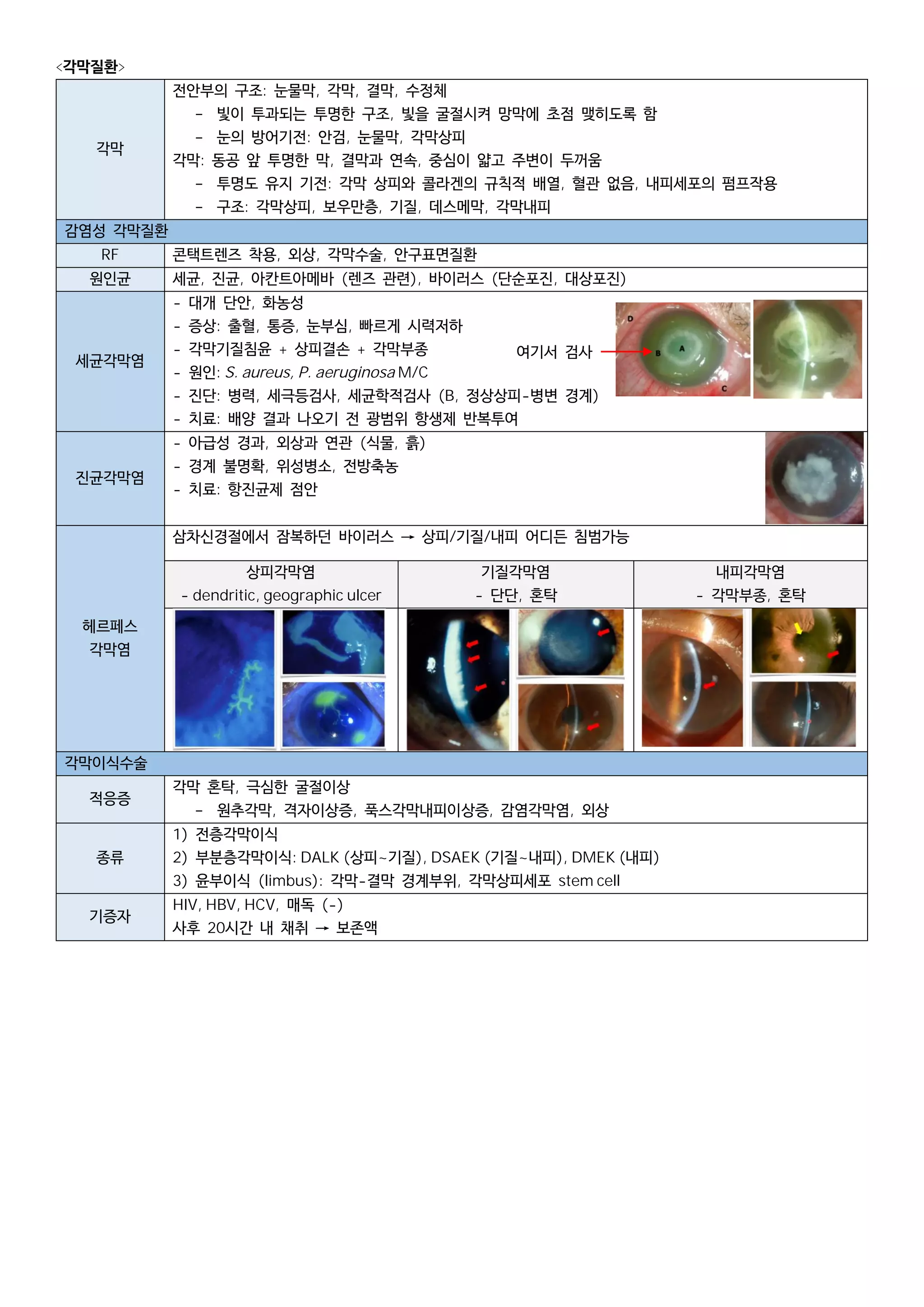 Opthal | PDF